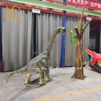 China Commercial Small Brachiosaurus Dinosaur Model For Mall Decoration And Jurassic Park for sale