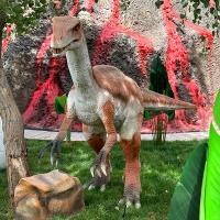 China Robotic Real Animatronics Dinosaurs Waterproof For Restaurant / Hotel for sale