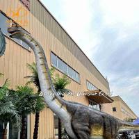 China Lifelike Real Animatronic Dinosaur Model Long Neck Brachiosaurus Dinosaur for Mall for sale