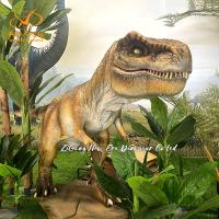 China Weatherproof Animatronic Realistic T Rex Dinosaur Model For Dino World Amusement Park for sale