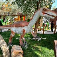 China Vivid Real Life Size Stegosaurus Dinosaur Model For Jurasic World And Theme Hotel for sale