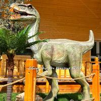 China Vivid Real Life Size Stegosaurus Dinosaur Model For Jurasic World And Theme Hotel for sale
