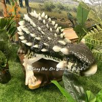 China Lifelike Animatronics Dinosaur Realistic Model For Jurassic Park And Educational Events for sale