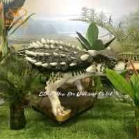 China Lifelike Animatronics Dinosaur Realistic Model For Jurassic Park And Educational Events for sale