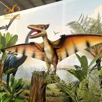 China CE Certified Simulated Animatronic Pterosauria Dinosaur Model For Amusement Park for sale