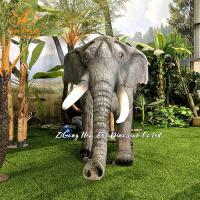 China Lifelike Appearance 3D Animal Models Realistic Animatronic Elephant For Exhibition for sale