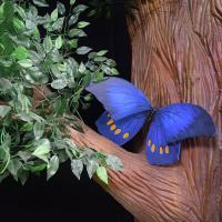 China Realistic Robot Life Size Butterfly Animatronic Infrared Sensor Control For Museum for sale