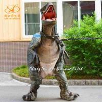 China Realistic Blue Dinosaur Costume for Adults Human Control 3-4m for sale
