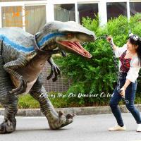 China Realistic Blue Dinosaur Costume for Adults Human Control 3-4m for sale