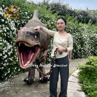 China Commercial Realistic Dinosaur Costume , Sound Effects Animatronic Dinosaur Suit 3m-4m for sale