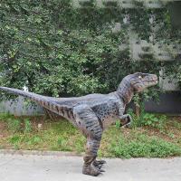 China Realistic Dino Suit 3-4m Human Control Steel Frame Silicone Rubber for sale
