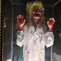China Mirror Beauty Haunted Mansion Props With Scary Sound Control Customized Size for sale