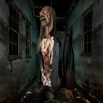 China Haunted Houses Hanging Ghost Halloween Decoration Animatronic Prop With Horror Sound for sale
