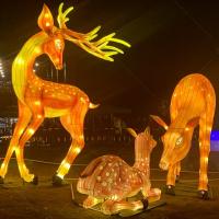 China Customized Vibrant Colors Exquisite Colored Lanterns Art For Festive Decoration for sale