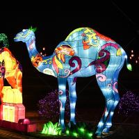 China Weather Resistant Outdoor Art Lantern Customized Color For Light Show / Exhibition for sale