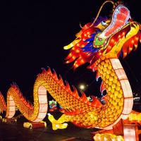 China Weather Resistant Outdoor Art Lantern Customized Color For Light Show / Exhibition for sale