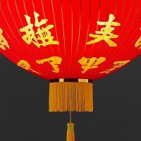 China Handmade Chinese Traditional Lantern Light Decorations Animal Shaped Festival Light Show for sale