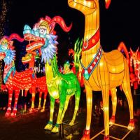 China New Year Festival Light Show Animal Shaped Lanterns for Outdoor Festivals for sale