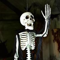 China Halloween Decoration Animated Hanging Skeleton Spine Chilling For Haunted House for sale