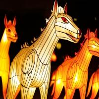 China Large Size Animal Shaped Lanterns New Year Chinese Lantern Customized Design for sale