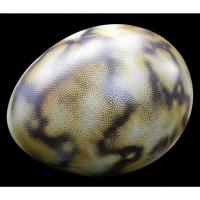 China 110V 50Hz Or 220V 60Hz Animatronic Dinosaur Egg Model For Theme Parks for sale