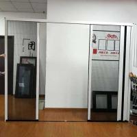 China Feature Customized High Transmission Pleated/Folding Mesh Trackless Sliding Aluminum Screen Door for sale