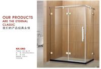 China Stainless Steel Shower Door with 5mm Tempered Explosion-Proof Glass 6063-T5 Aluminum for sale