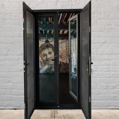 China Customized Double Open Door for French Casement Doors 5mm Tempered Glass 6063-T5 Aluminum for sale
