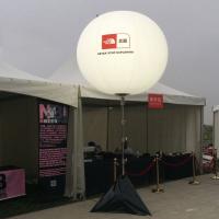 China Factory Price OEM Service Promotion Custom Print Logo PVC Inflatable Balloon for Event Decoration for sale