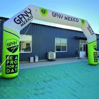 China Tianyili factory wholesale price customize logo  size 5m  inflatable arch for sale