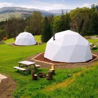 China hot sale PVC fabric transparent wedding party camping geodesic dome tent house for sale