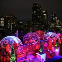 China The PVC canvas transparent Weatherproof Cover Garden Igloo Greenhouse 360 Dome tent for sale