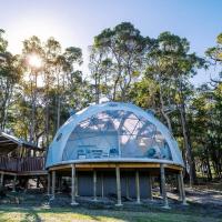 China New Design outdoor luxury camping PVC living room glamping dome resort tent hotel for sale