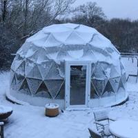 China Steel Frame Transparent pvc Geodesic Garden house dome igloo tent for sale