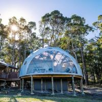 China large outdoor luxury waterproof glamping 6m geodesic dome tent hotel for sale