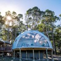 China outdoor waterproof stadium geodesic spherical marquee dome tents for sale for sale