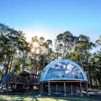China Half Sphere Trade Show Catering Dining Geodesic Dome Tent With Steel Frame Pvc Cover for sale
