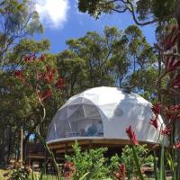 China Half Sphere Trade Show Catering Dining Geodesic Dome Tent With Steel Frame Pvc Cover for sale