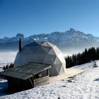 China Spherical Inflatable Igloo Dome Tent Geodesic Large Outdoor ODM for sale