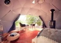 China Igloo Glamping Geodesic Dome Tent Winter PVC Cloth 2-10 People Living for sale