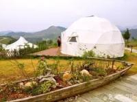 China Igloo Glamping Geodesic Dome Tent Winter PVC Cloth 2-10 People Living for sale