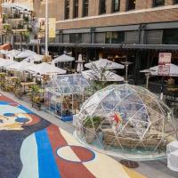 China Customized Logo 2.9m Igloo Dome Tent Transparent PVC For Garden House for sale