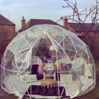 China Customized Logo 2.9m Igloo Dome Tent Transparent PVC For Garden House for sale