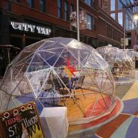 China Customized Logo 2.9m Igloo Dome Tent Transparent PVC For Garden House for sale