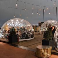 China Customized Logo 2.9m Igloo Dome Tent Transparent PVC For Garden House for sale