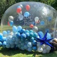 China Inflatable Bubble Balloon House for sale