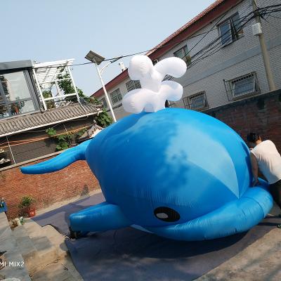 China advertising cartoon Inflatable characters Whale Shark inflatable dolphin for kids play event for sale