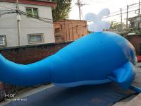 China advertising cartoon Inflatable characters Whale Shark inflatable dolphin for kids play event for sale