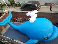 China advertising cartoon Inflatable characters Whale Shark inflatable dolphin for kids play event for sale