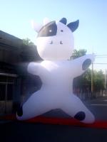 China Factory Price Custom Inflatable cartoon Advertising Inflatables for Event Advertising Cartoon Model Decoration Balloon Model for sale